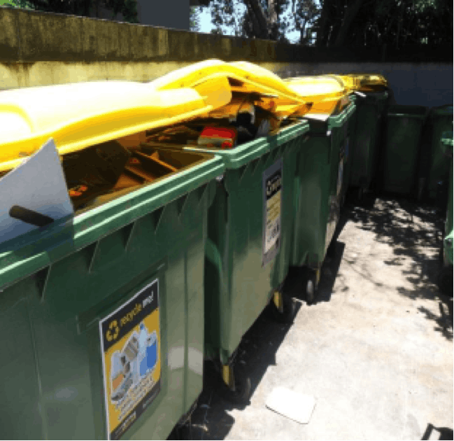 Project: Waste Reduction and Recycling Plan | Noosa Council