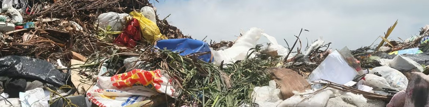 Project: Community Jury - The future for Noosa's organic... | Noosa Council