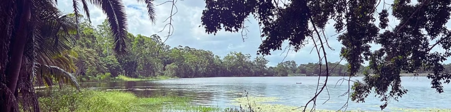 Project: Noosa Botanic Gardens Master Plan 2025 | Noosa Council