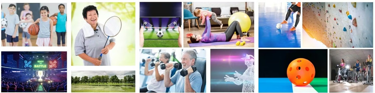 Project: Review of Indoor Sport and Recreation Facilities | Noosa Council